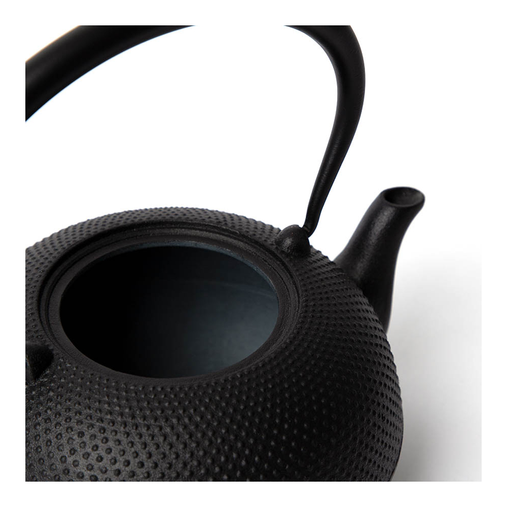 Tetsubin Nanbu Tekki Kangetsu Arare, Oigen, 1,2 l