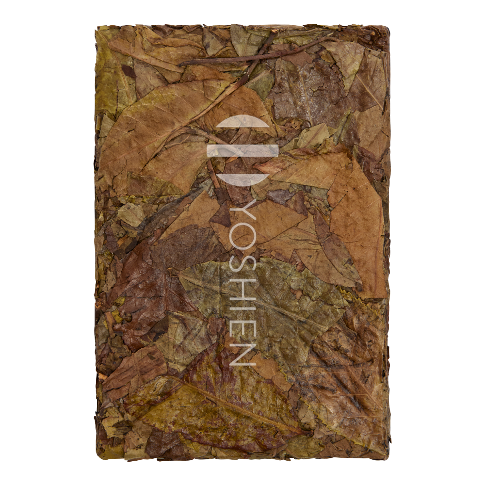 Aged Baoshan Bai Lu Shou Mei Tea Brick 2018