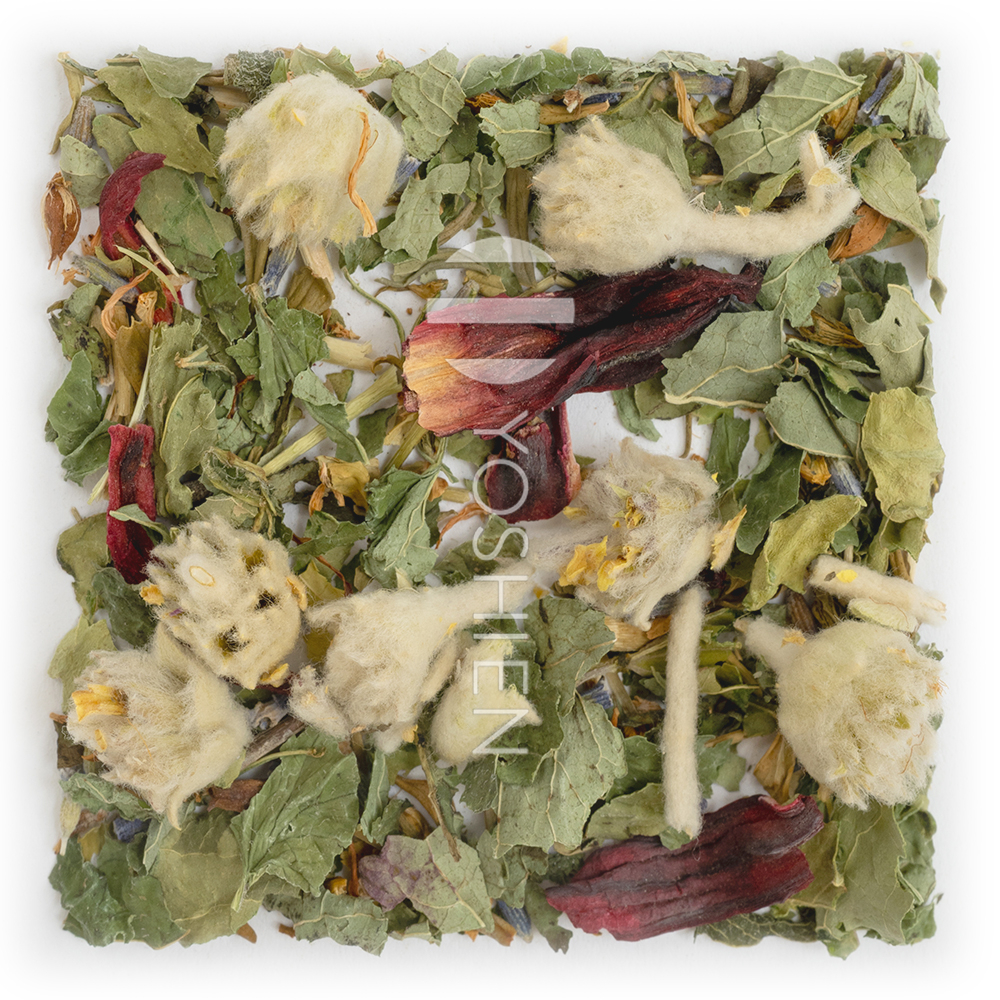 Good Night Mountain Tea, Phyto Harmony Organic Herbal Tea Blend