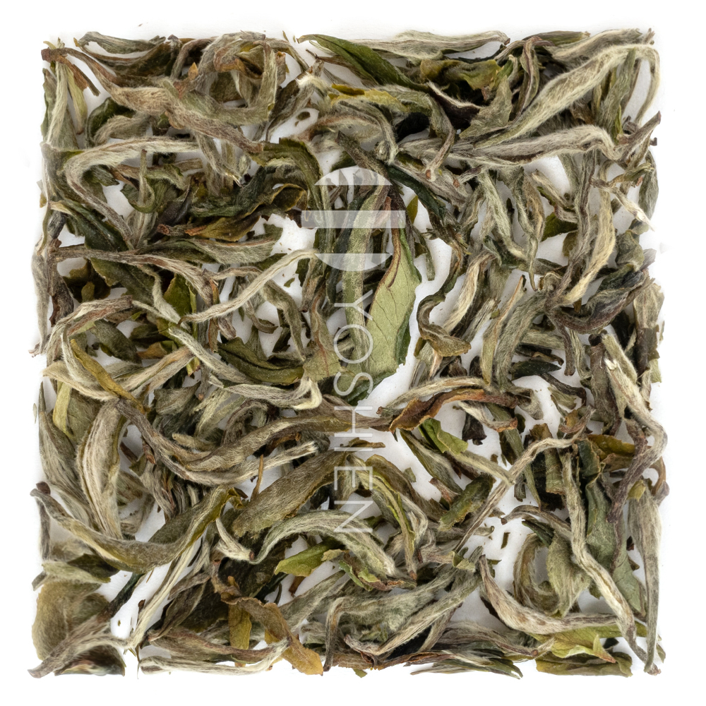 Darjeeling Silbernadel Weisstee kaufen | Castleton Estate