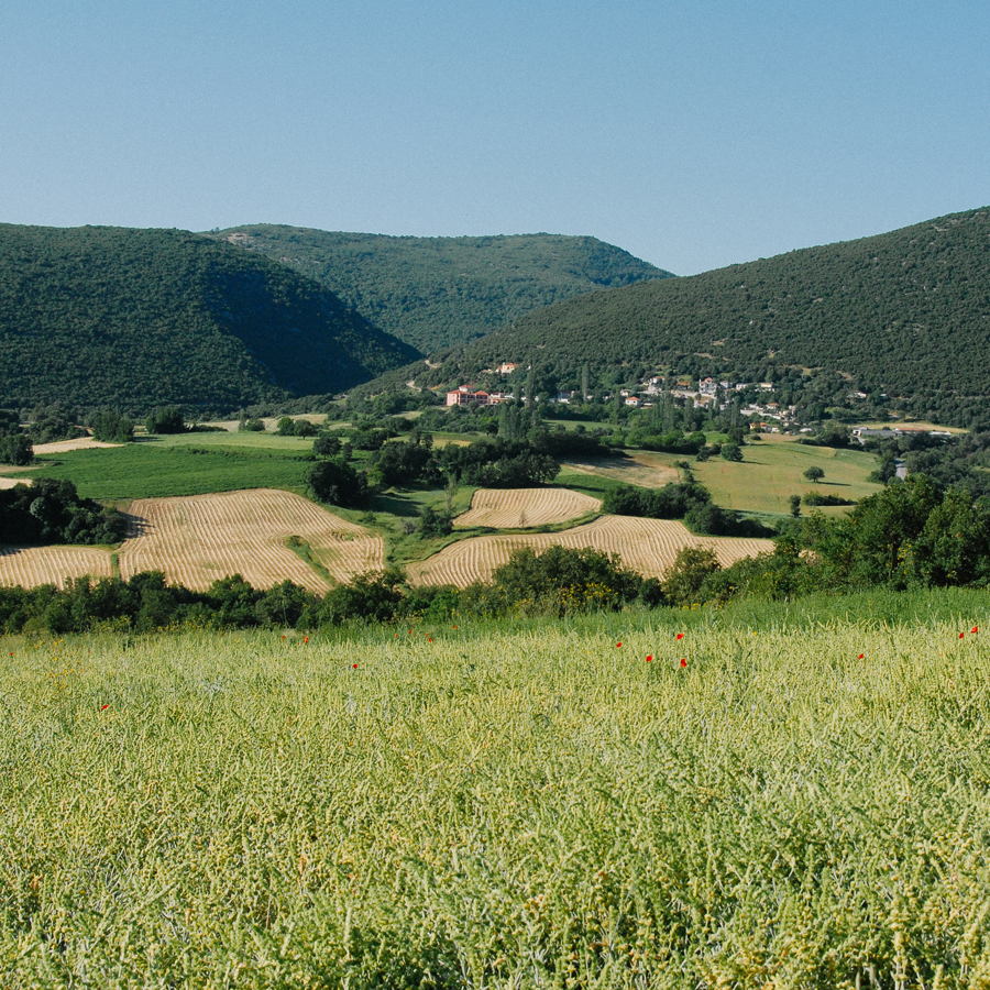 Bergtee Bio Mt. Othrys, 50g Teespezialist