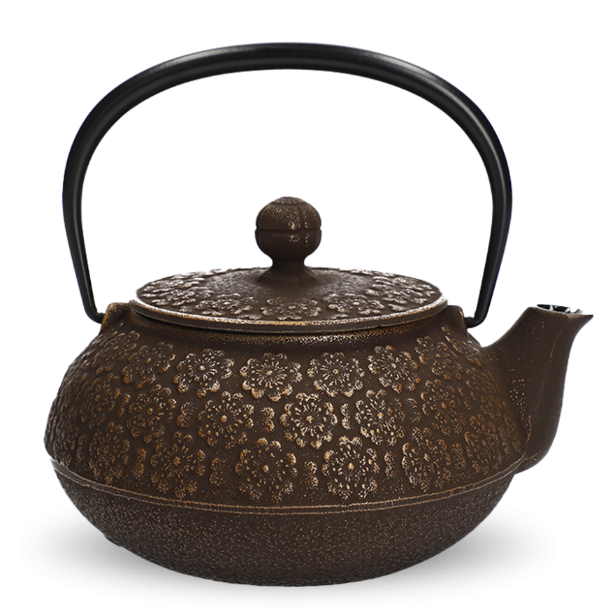 Iwachu - Japanese Nanbu Tekki Cast Ironware