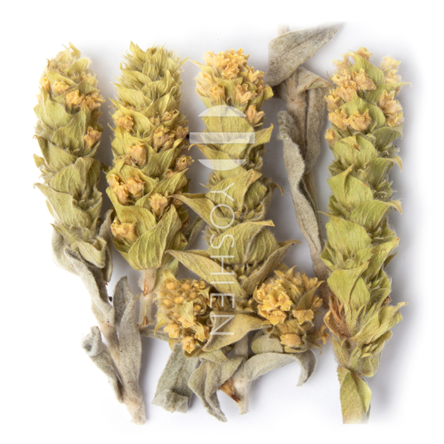 Herbal Tea Infusions