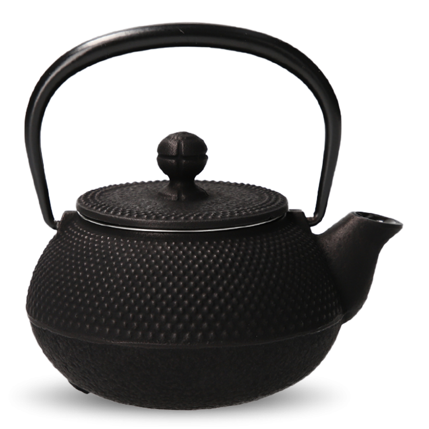 Gusseisen Teekannen & Tetsubin von Iwachu kaufen