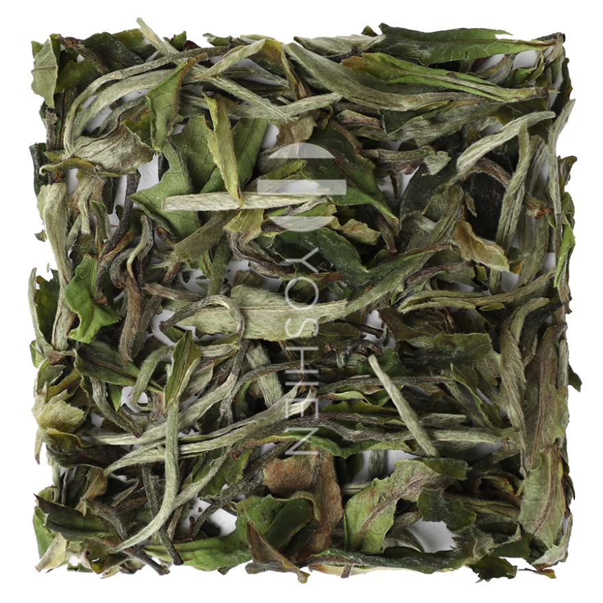 Pai Mu Tan - White Tea