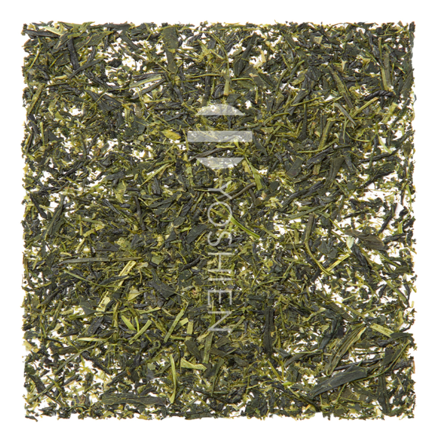 Acheter du thé Sencha | Spécialiste du thé vert