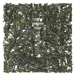 Buy Hashiri Shincha Tanegashima Shoju 2025 online