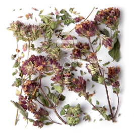 Mursalski oregano tea, Rhodope Mountains, Trigrad, 50g