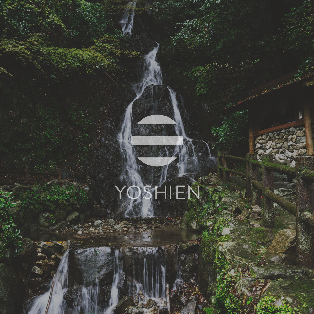 Organic Gyokuro Shibushi Yabukita: Premium Green Tea from Japan. Shaded ...